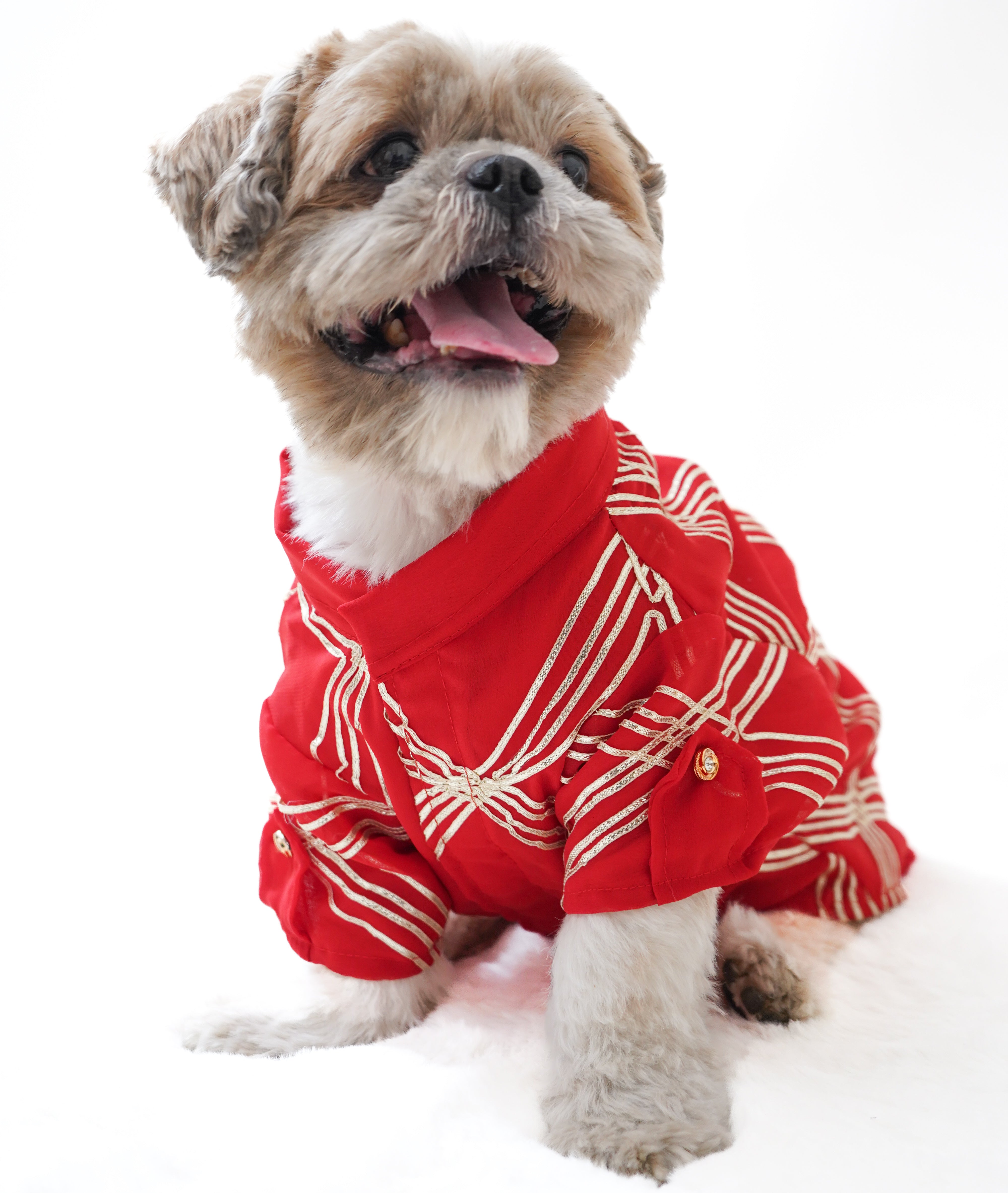 Pet T - Shirt – Puppiezo