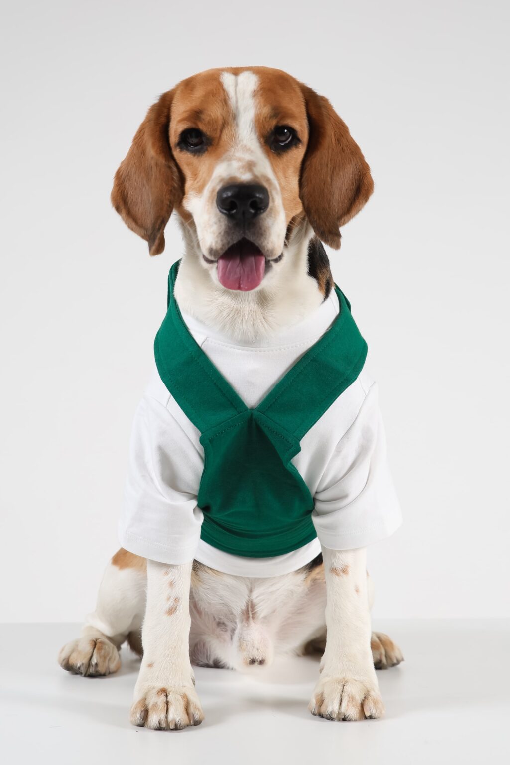 MLT 12 - A - TIC TOC – Puppiezo