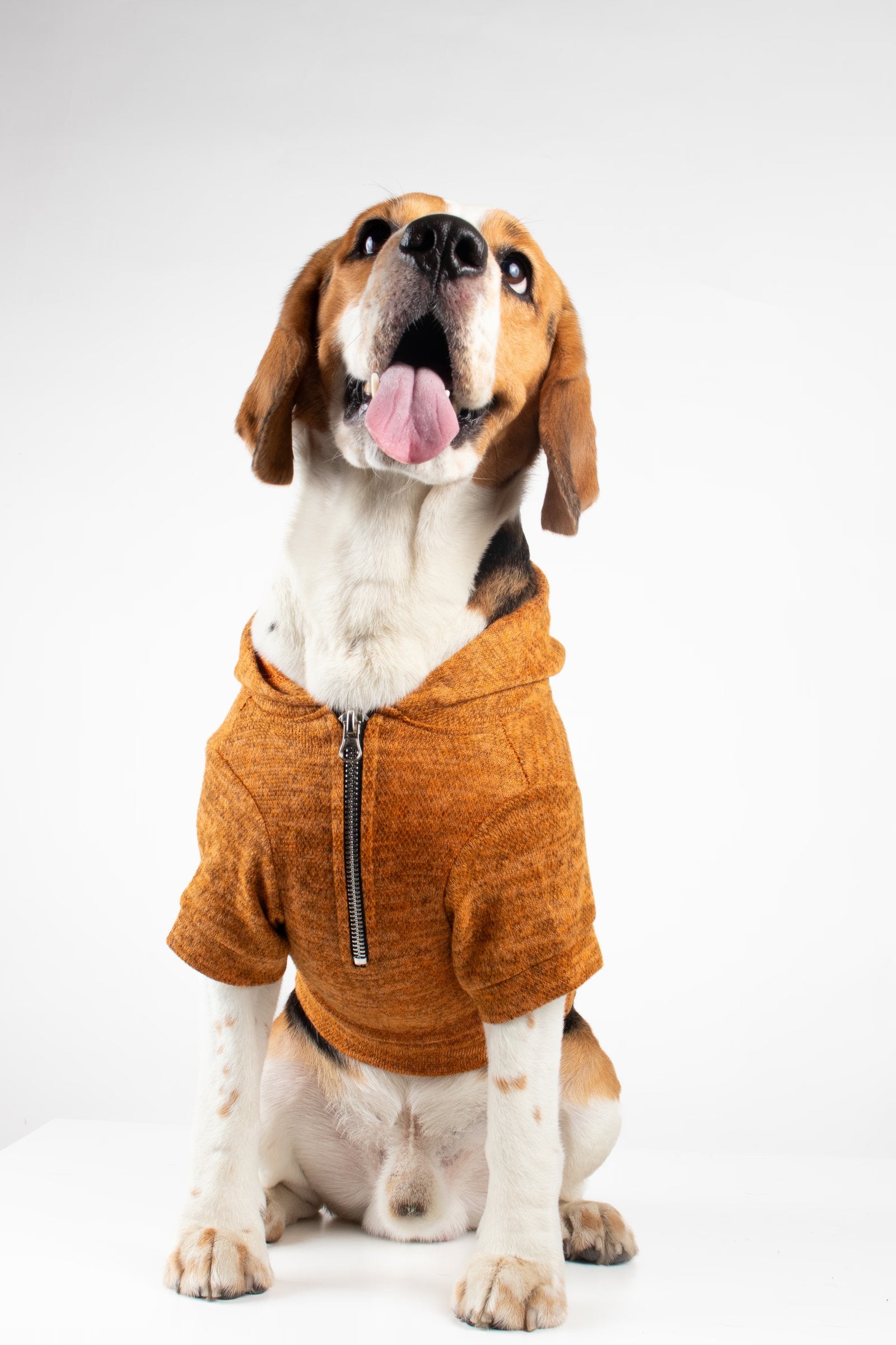 MLT 12 - A - TIC TOC – Puppiezo