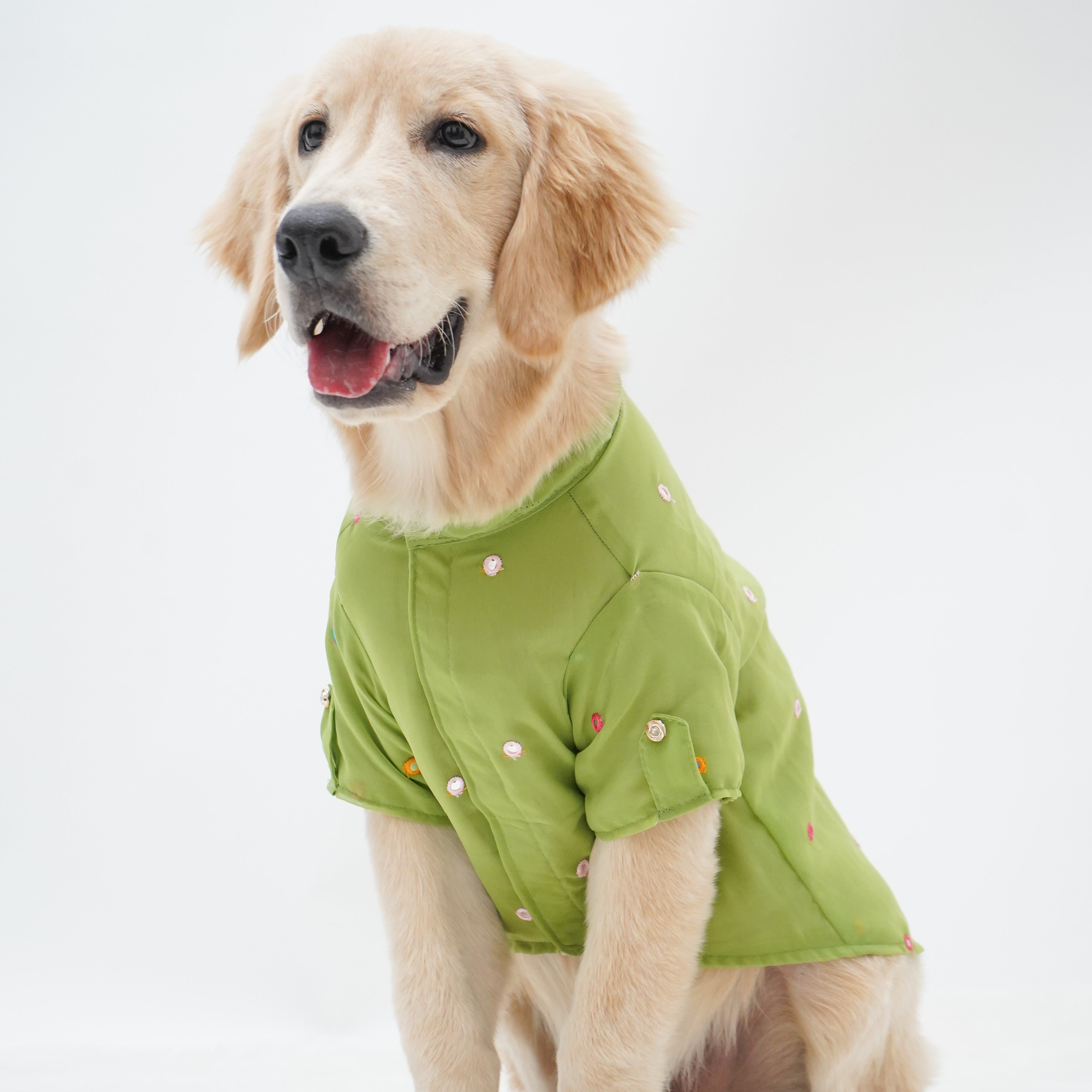 Pawgy Pets Festive Shirt Pista Green for Dogs – Puppiezo