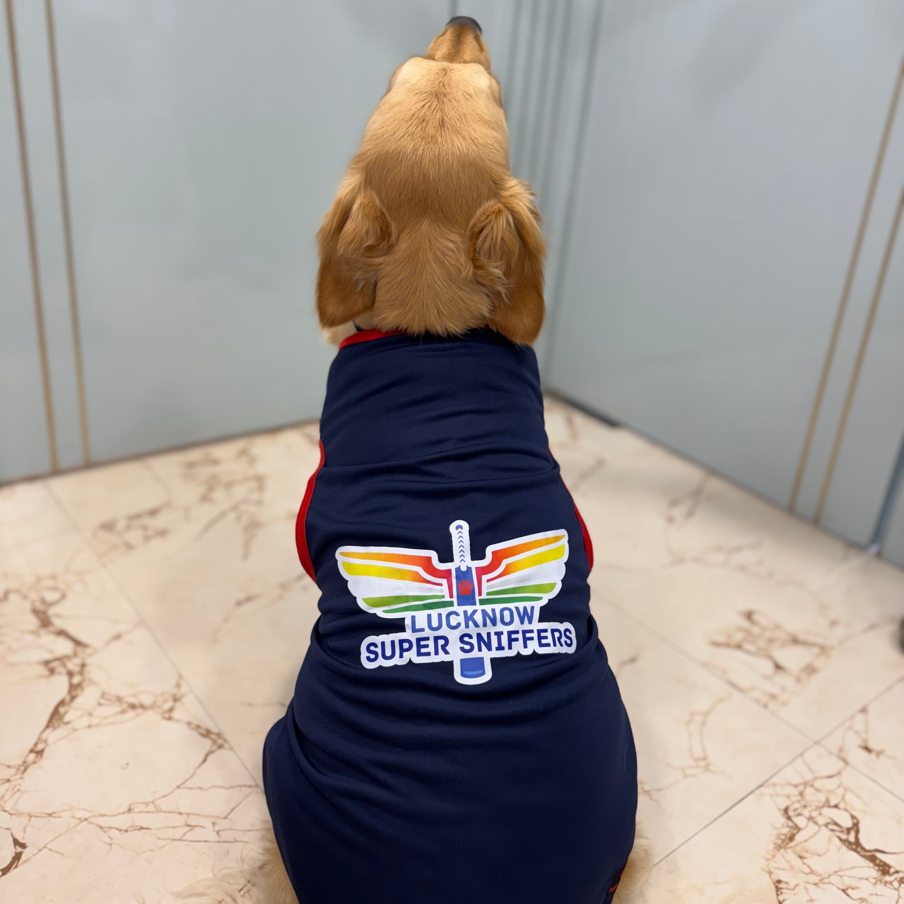 Pawgy Pets Lucknow Super-Sniffers for Dogs and Cats – Puppiezo