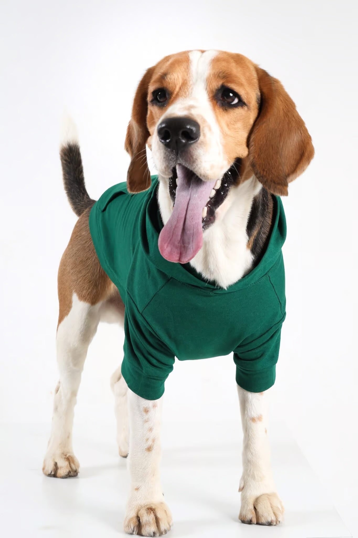 MLT 12 - A - TIC TOC – Puppiezo